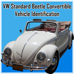 VW VIN Identification, Vehicle Identification-JBugs